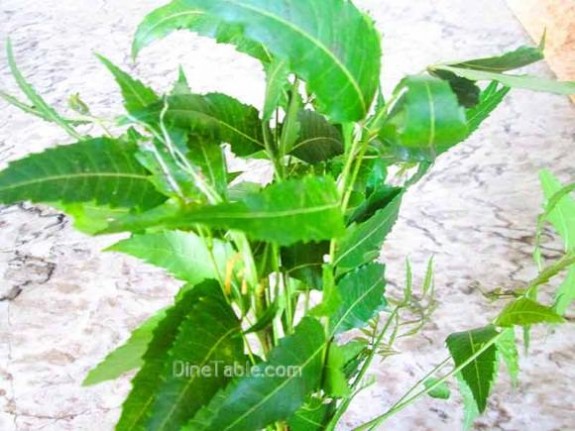 Medicinal Uses and Health Benefits of Neem or Arya Veppu – Kerala ...