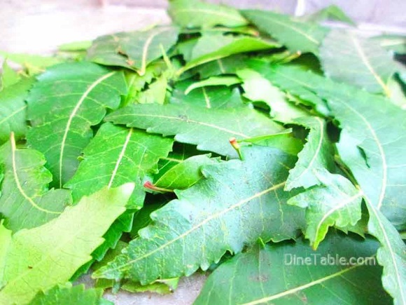 Medicinal Uses and Health Benefits of Neem or Arya Veppu – Kerala ...